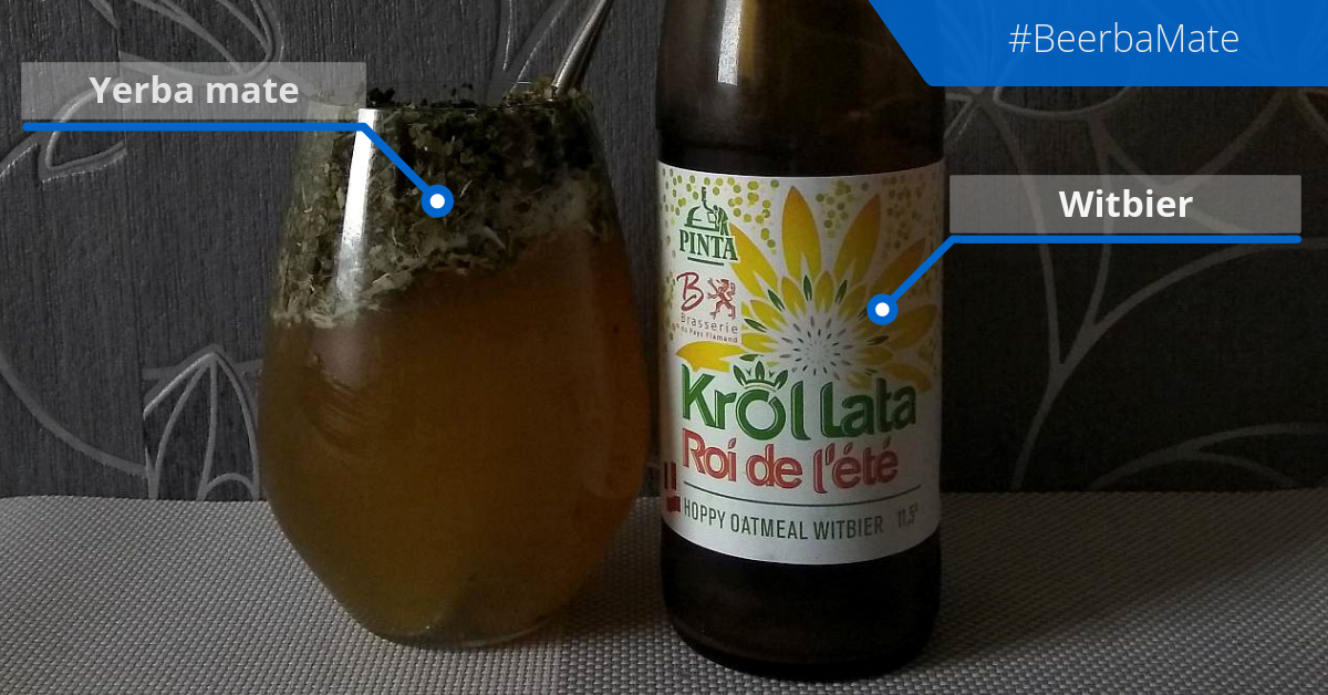 Yerbata? Proszę Cię... Zrób sobie "Beerbę" - piwo z yerba mate | Piwolucja
